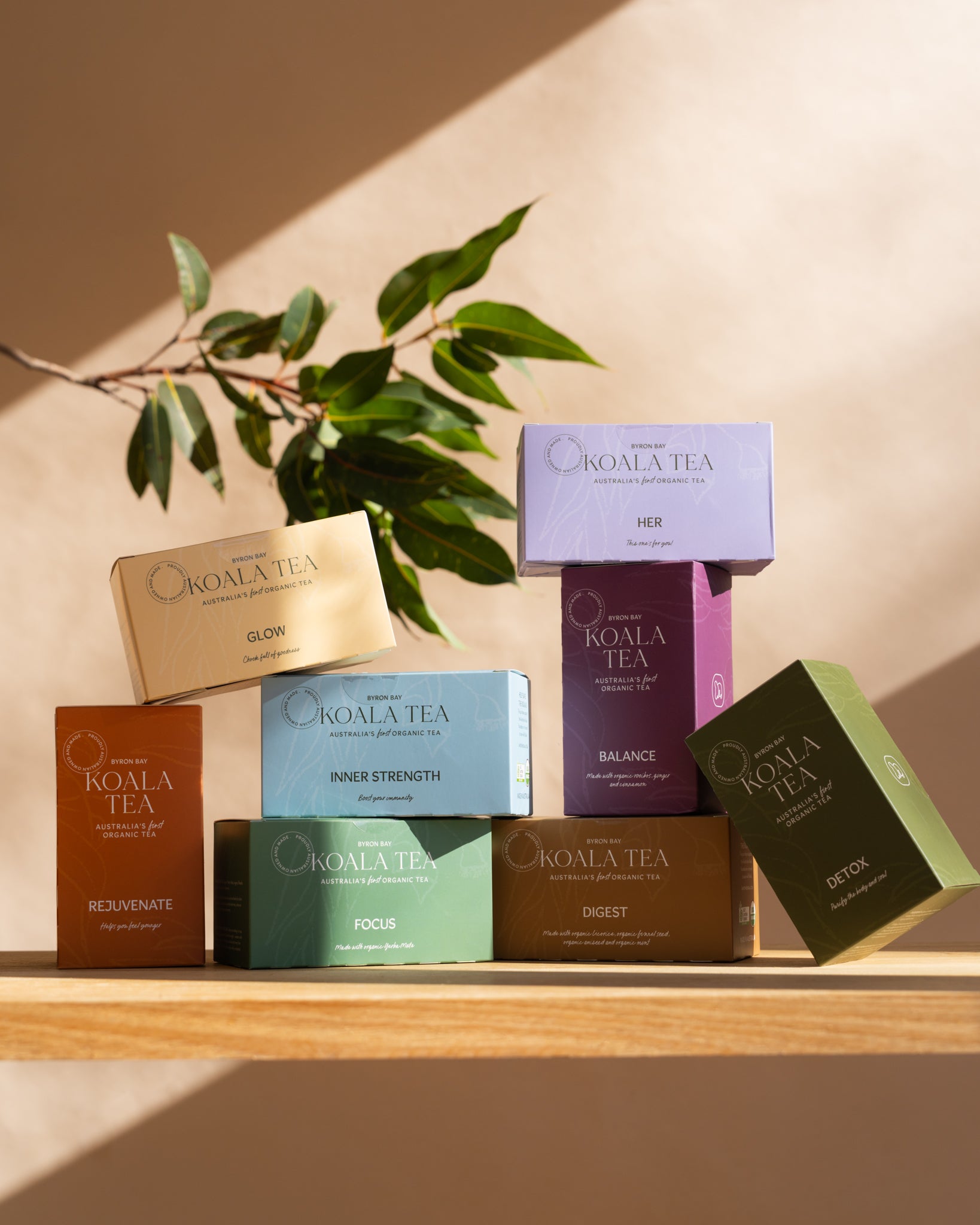 Organic Australian Tea | Shop Herbal Tea – Koala Tea